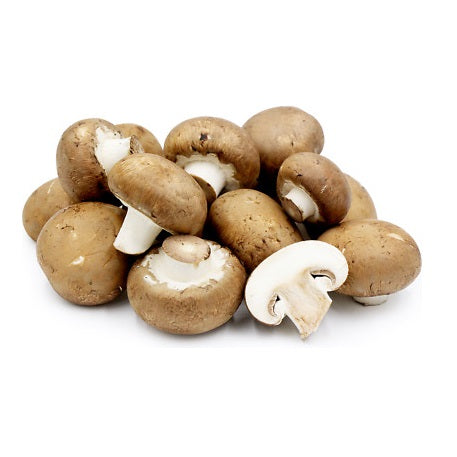 Champignons café BIO - 8oz – Marchand Chez Duff